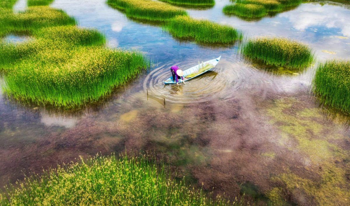 Why a River Cruise is the Best Way to Experience The Mekong Region ...