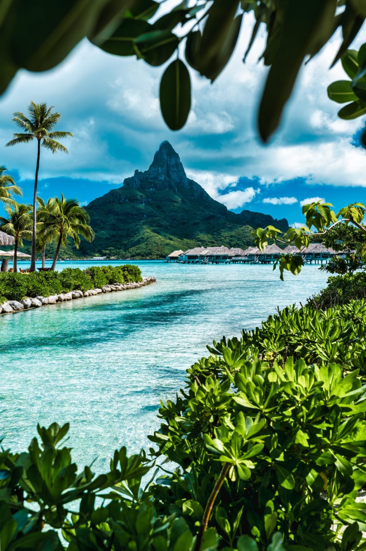 French Polynesia - Art in Voyage
