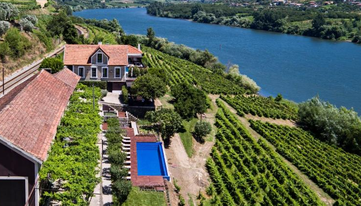 Quinta de Sao Bernardo Winery & Farmhouse Portugal - Art in Voyage